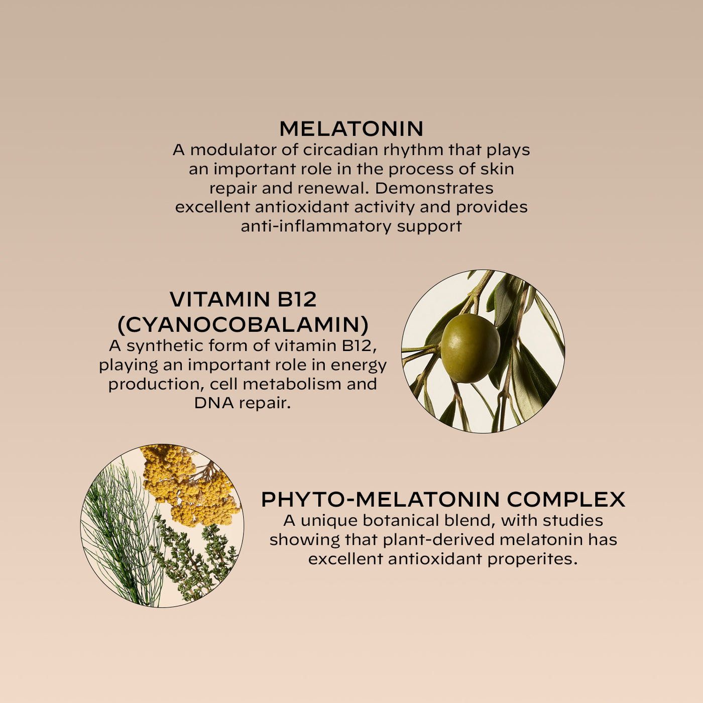 Melatonin B12 Overnight Repair Mask | Zelens